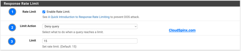 How To Configure Bind DNS Server on pfSense / OPNsense - CloudSpinx