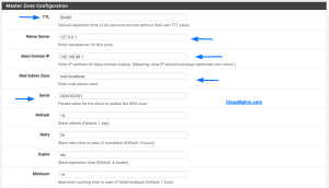 How To Configure Bind DNS Server on pfSense / OPNsense - CloudSpinx