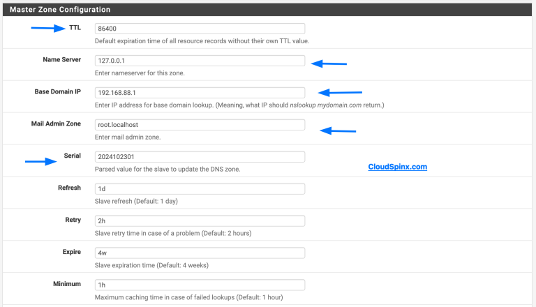 How To Configure Bind DNS Server on pfSense / OPNsense - CloudSpinx