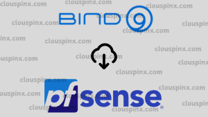 How To Configure Bind DNS Server on pfSense / OPNsense - CloudSpinx
