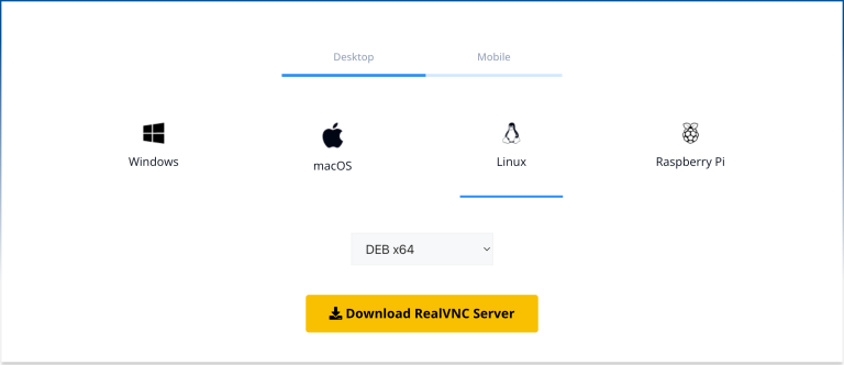Configure RealVNC Server and Client on Debian 12/11/10 - CloudSpinx