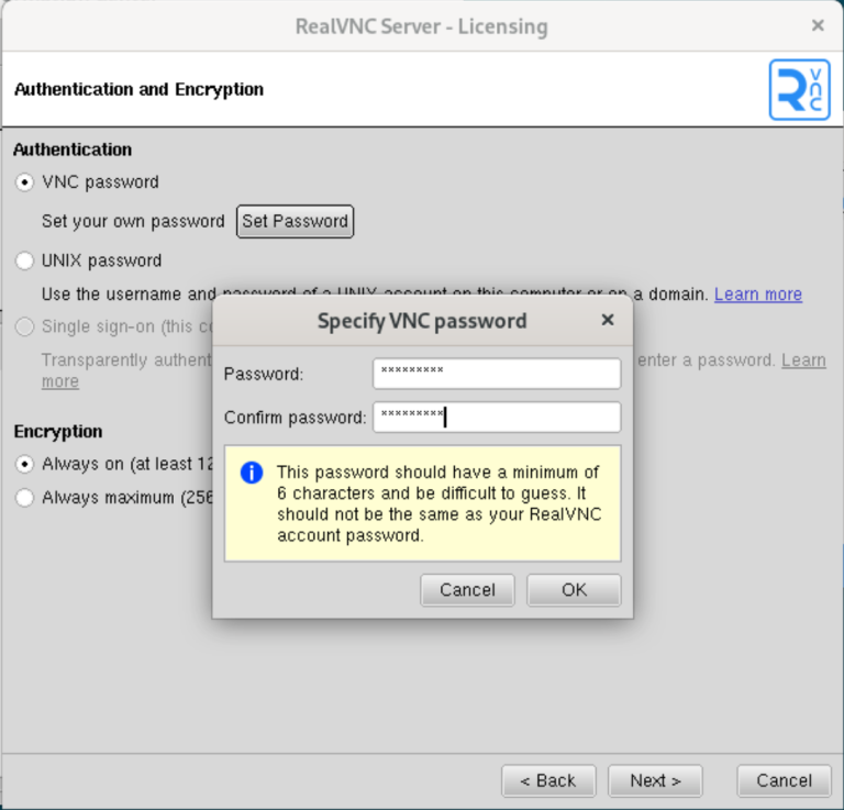 Configure RealVNC Server and Client on Debian 12/11/10 - CloudSpinx