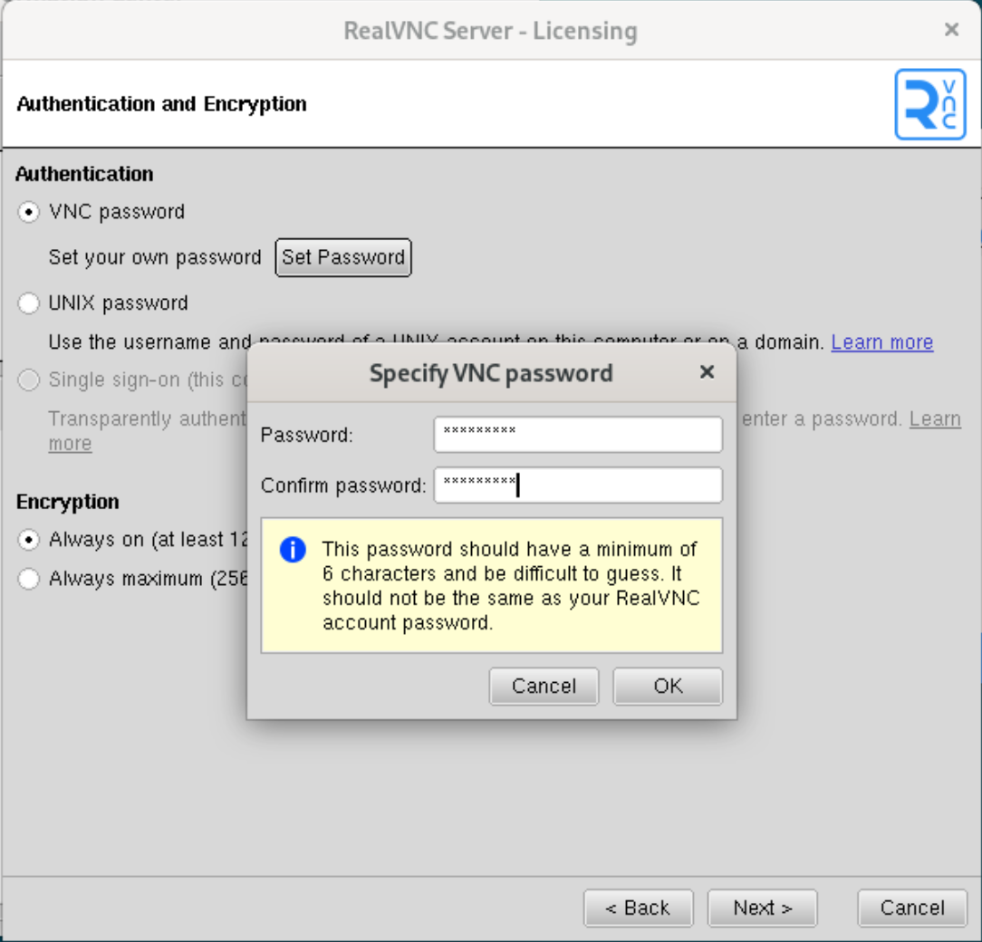 Configure RealVNC Server and Client on Debian 12/11/10 - CloudSpinx