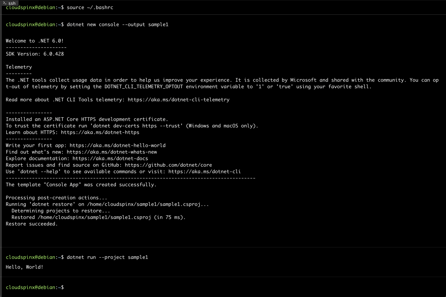 Install and Use .NET Core 6 on Debian 12 / Debian 11 - CloudSpinx