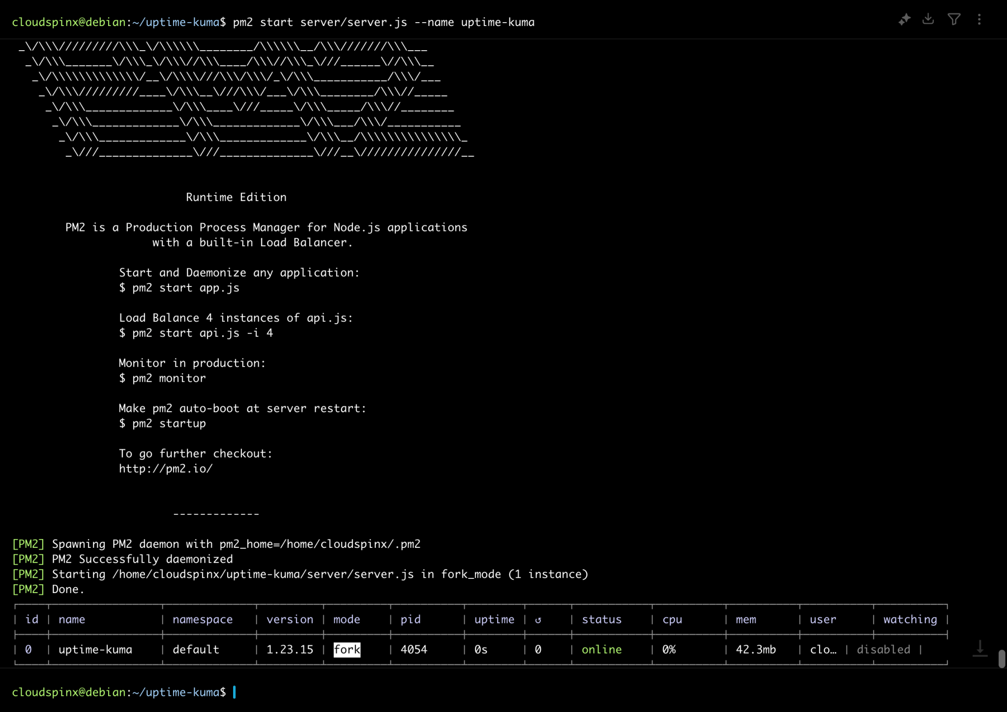 How To Run Kuma Uptime Robot Using PM2 - CloudSpinx