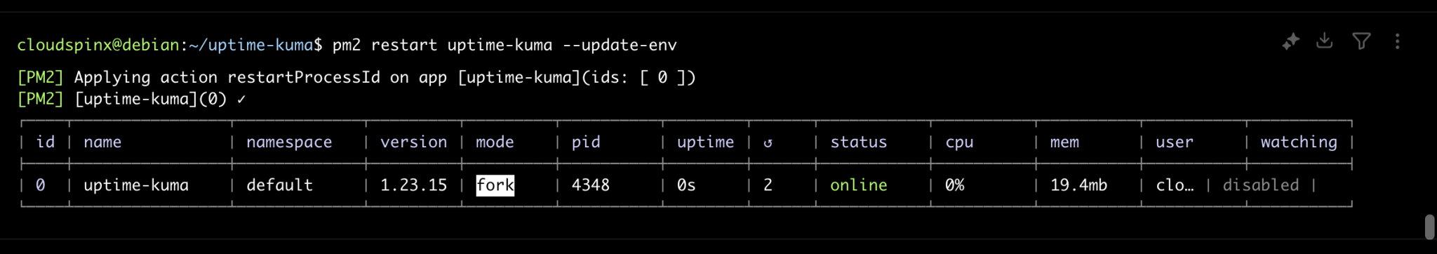 How To Run Kuma Uptime Robot Using PM2 - CloudSpinx