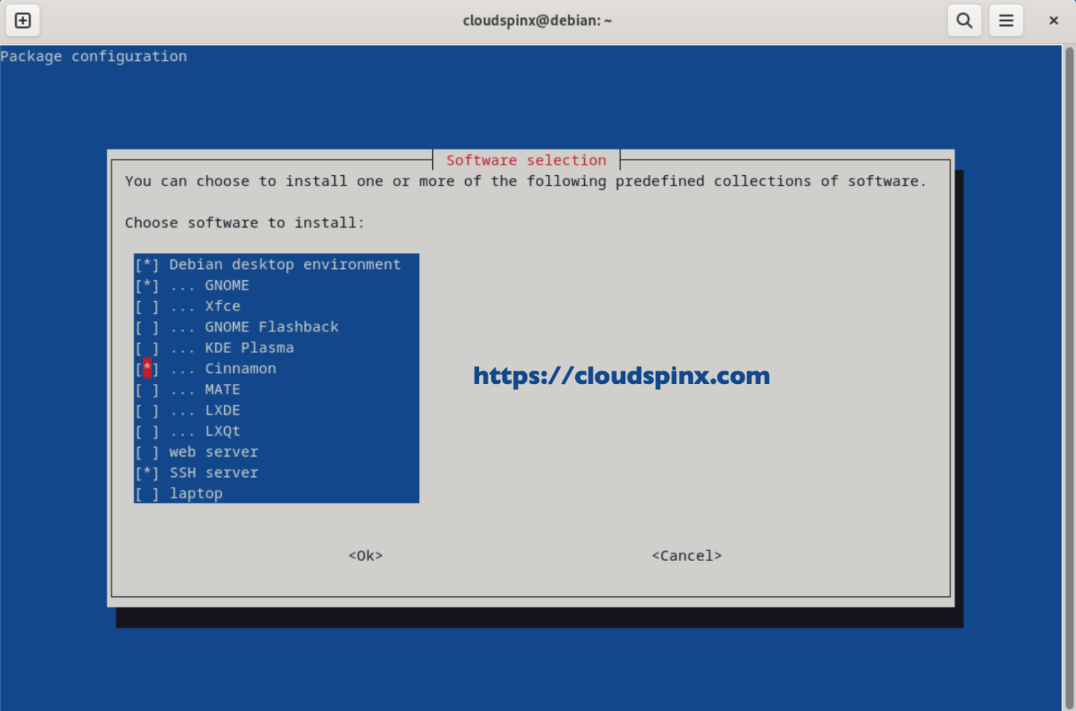 Install Cinnamon Desktop Environment on Debian - CloudSpinx
