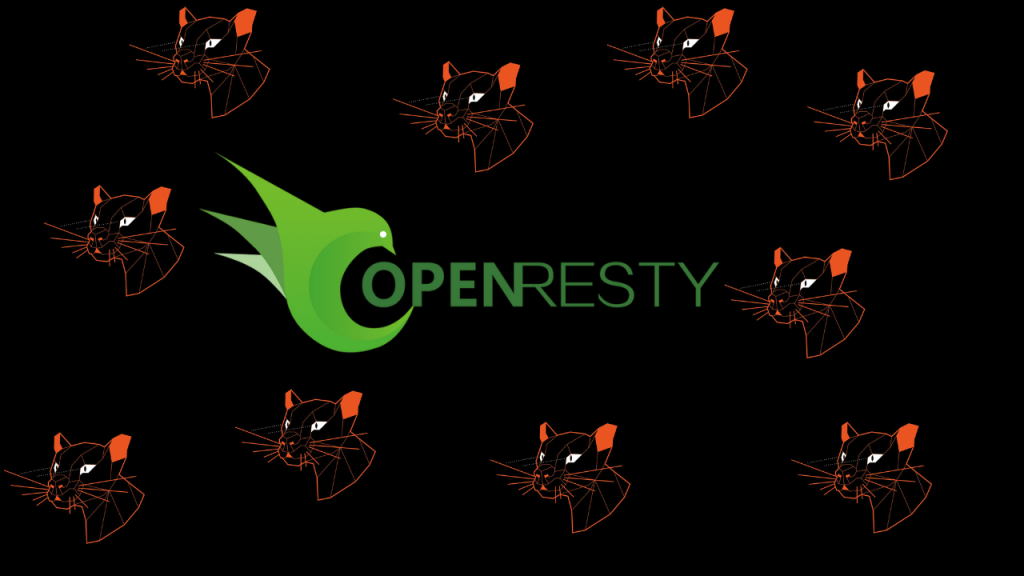 Install Openresty Web Platform On Ubuntu Debian Cloudspinx