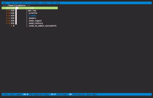 How To Analyze Disk Usage on Linux using gdu - CloudSpinx