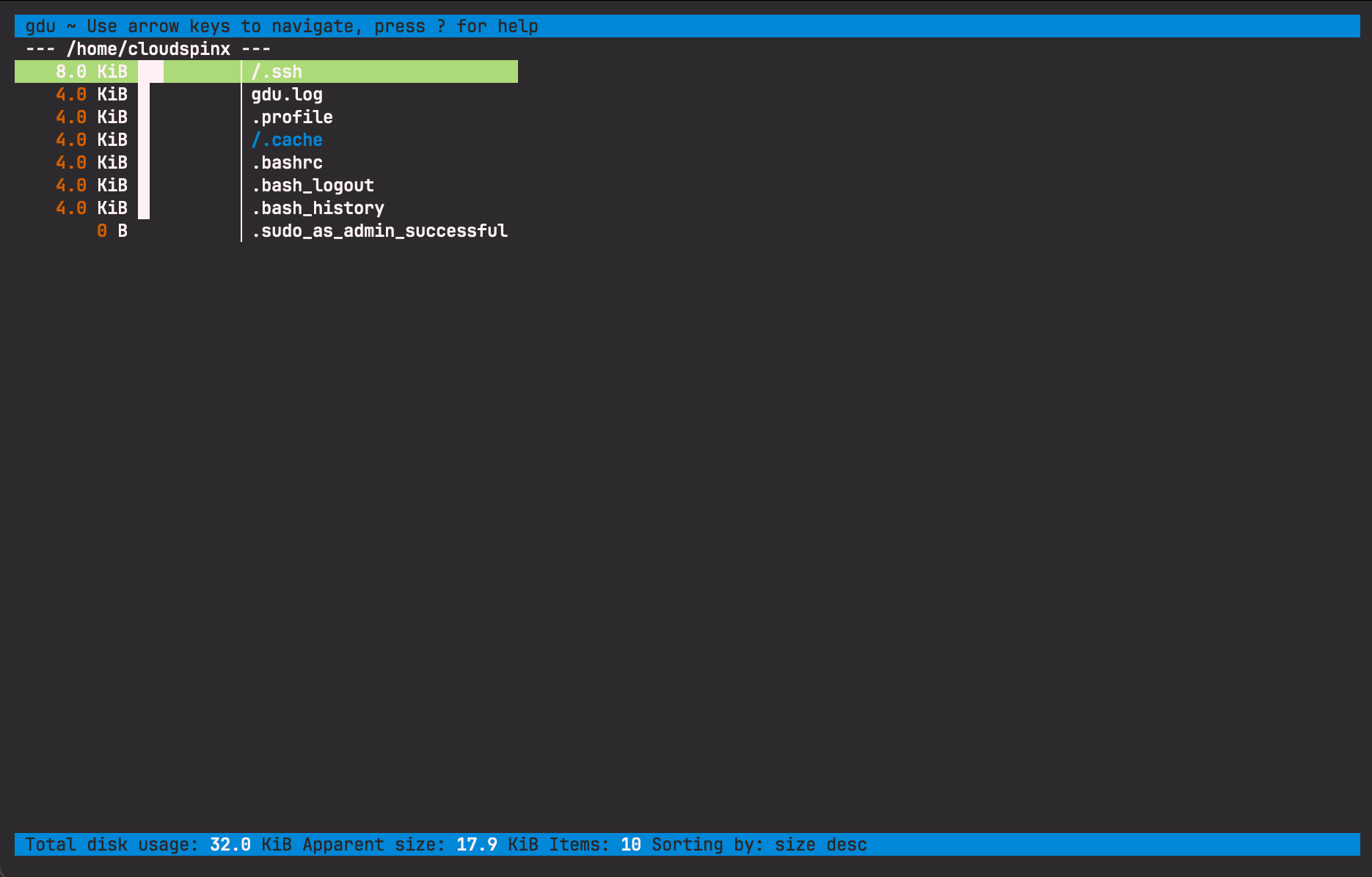 How To Analyze Disk Usage on Linux using gdu - CloudSpinx