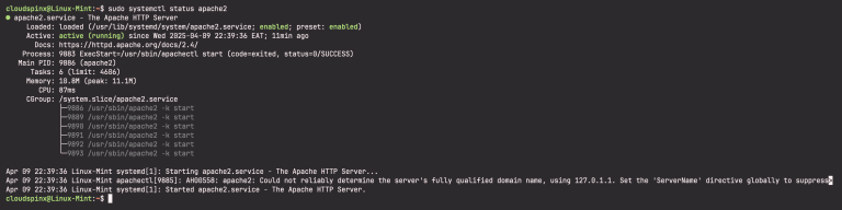 How To Install LAMP Stack on Linux Mint 22 - CloudSpinx