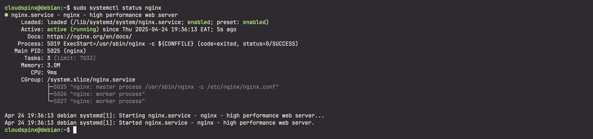 How To Install Wiki.js on Debian 12 | 11 - CloudSpinx