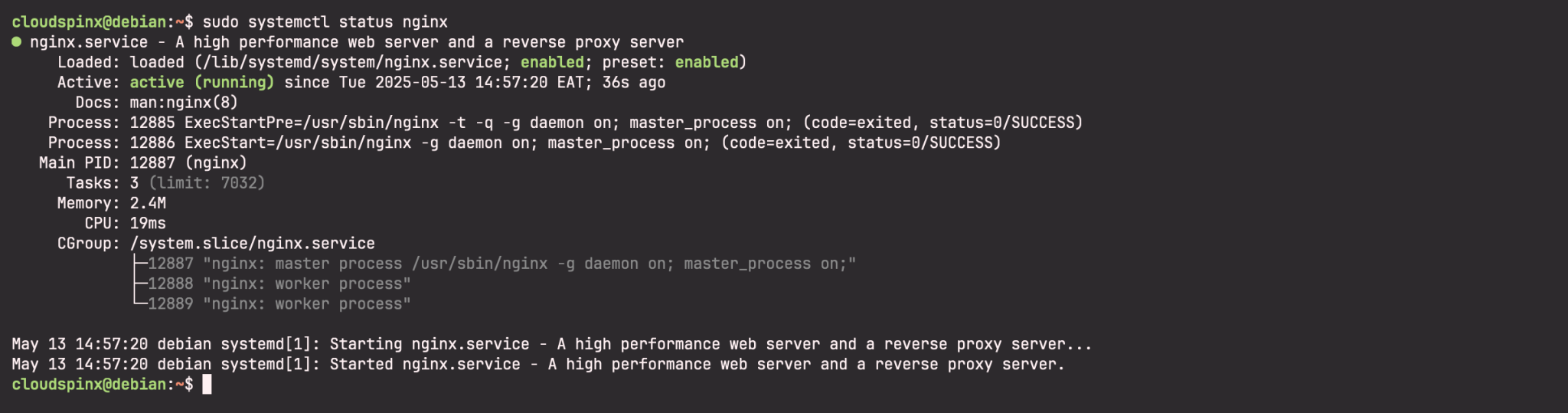 How To Install Invoice Ninja on Debian 11|12 - CloudSpinx