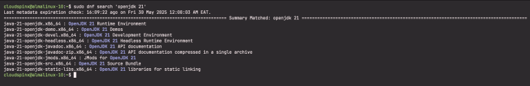 Install Java 21 LTS (OpenJDK 21) on AlmaLinux | CentOS | RHEL 10 - CloudSpinx