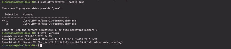Install Java 21 LTS (OpenJDK 21) on AlmaLinux | CentOS | RHEL 10 - CloudSpinx