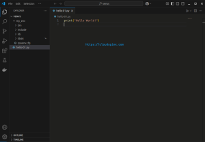Install Visual Studio Code on Linux Mint 22|21 - CloudSpinx