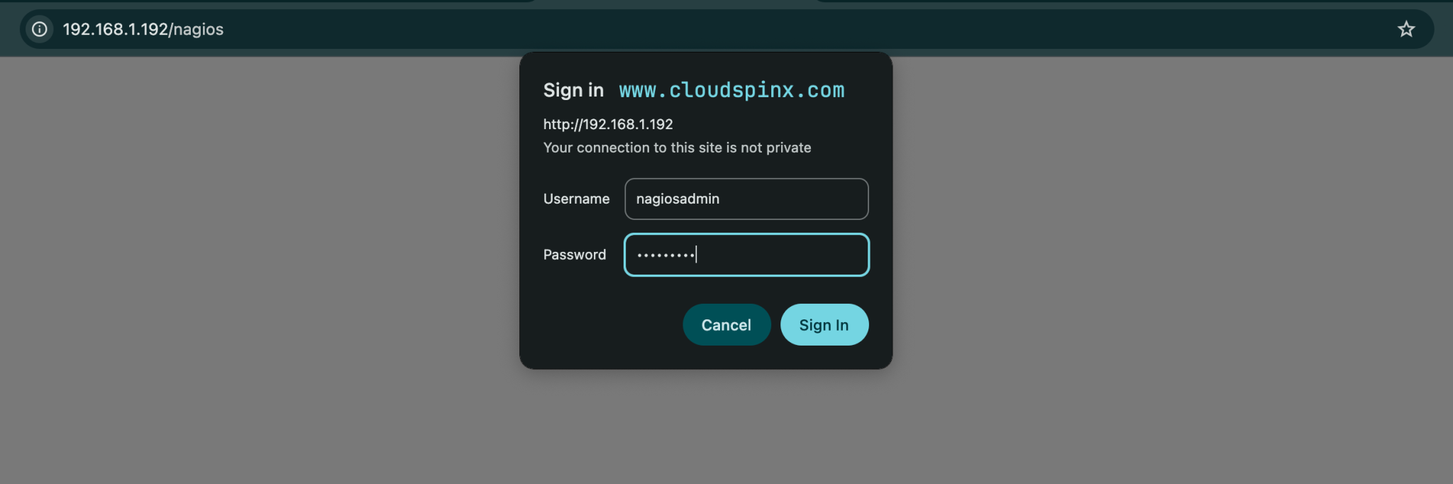 Install And Configure Nagios 4x On Oracle Linux 9 Cloudspinx