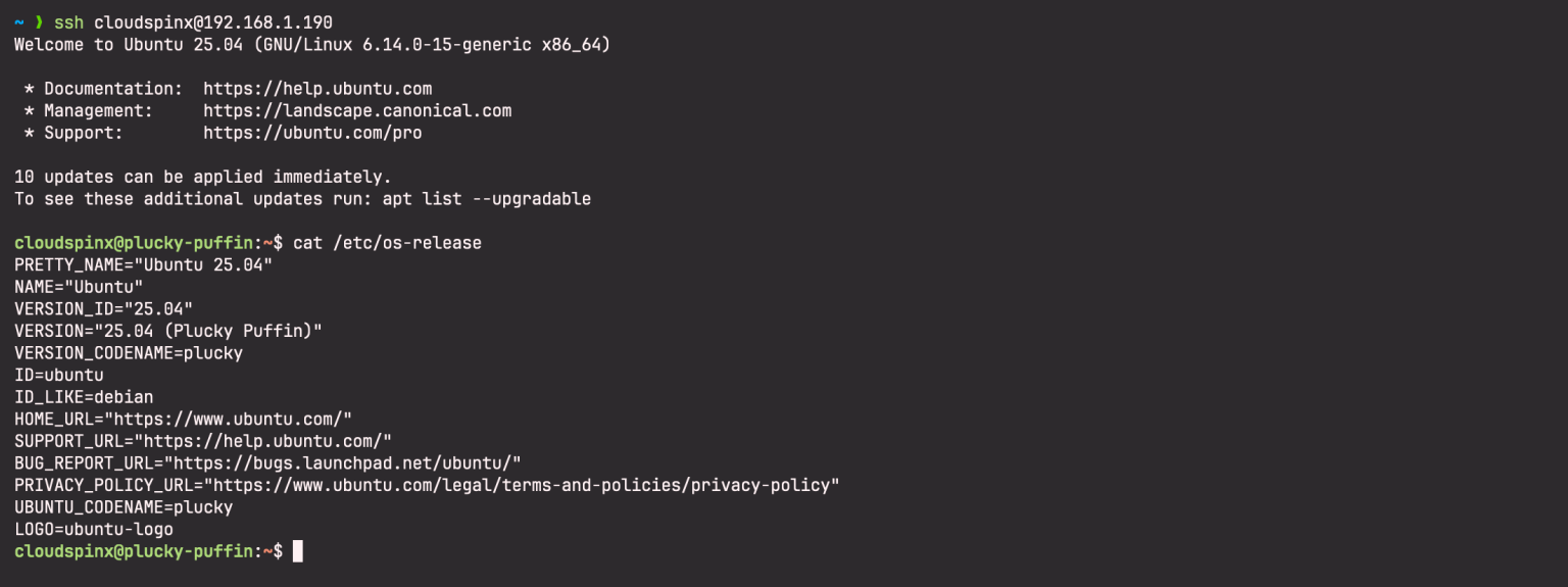 Install And Customize Ubuntu 2504 A Complete Guide Cloudspinx
