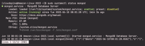 How To Install MongoDB 8.0 on Amazon Linux 2023 - CloudSpinx