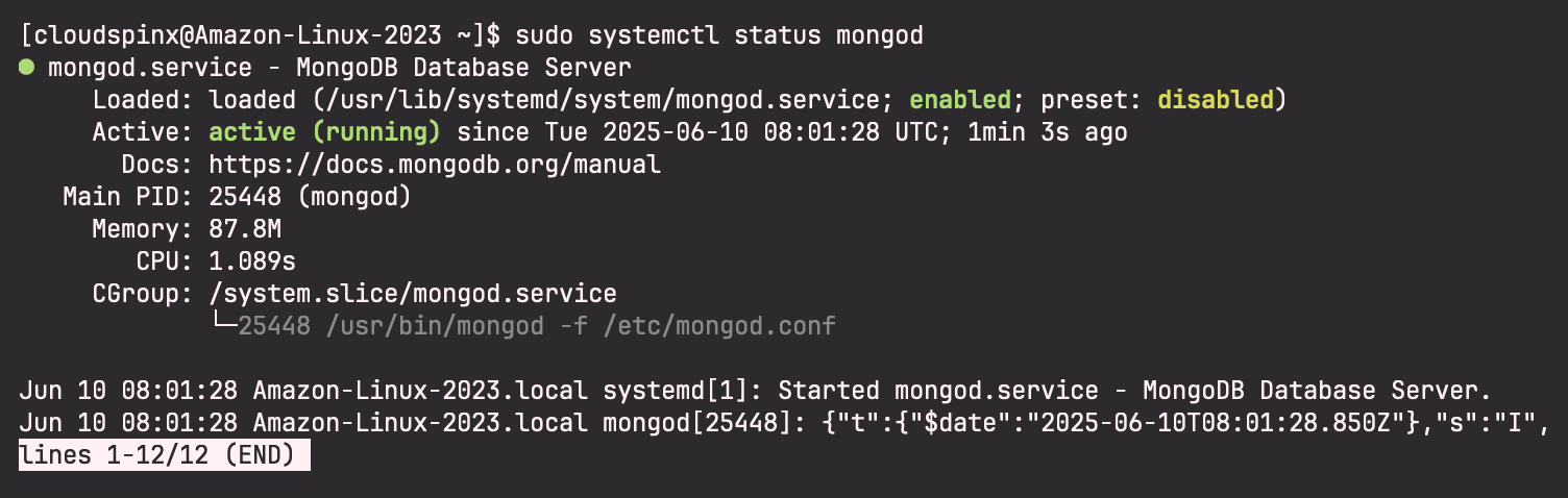 How To Install MongoDB 8.0 on Amazon Linux 2023 - CloudSpinx