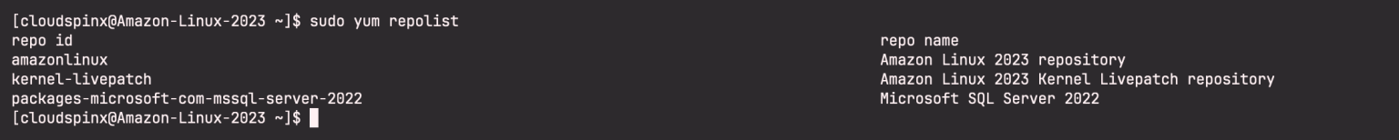 Install Microsoft SQL Server 2022 on Amazon Linux 2023 - CloudSpinx