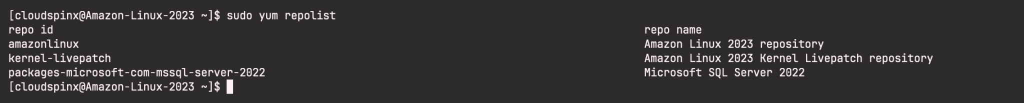 Install Microsoft SQL Server 2022 on Amazon Linux 2023 - CloudSpinx