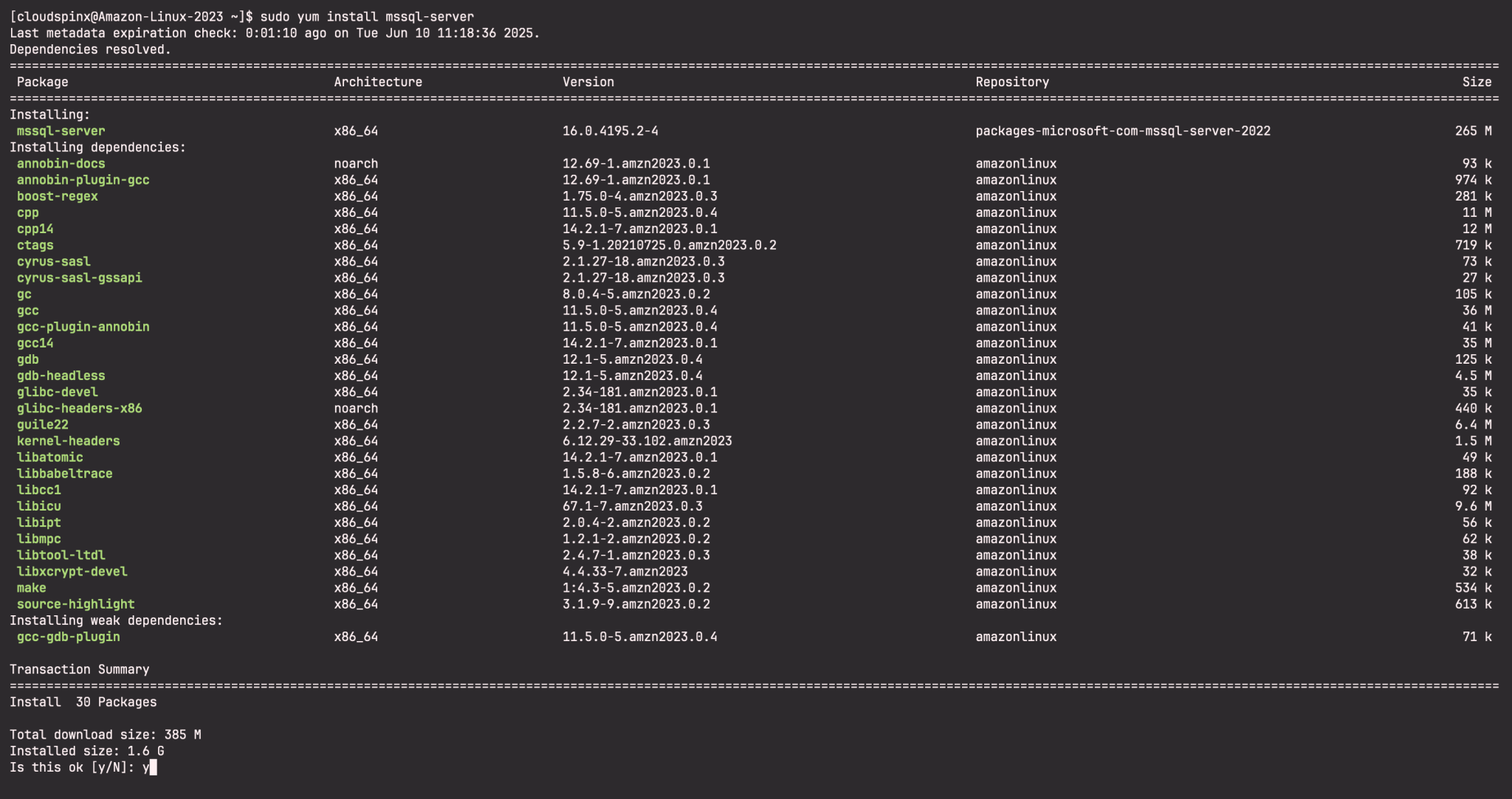 Install Microsoft SQL Server 2022 on Amazon Linux 2023 - CloudSpinx