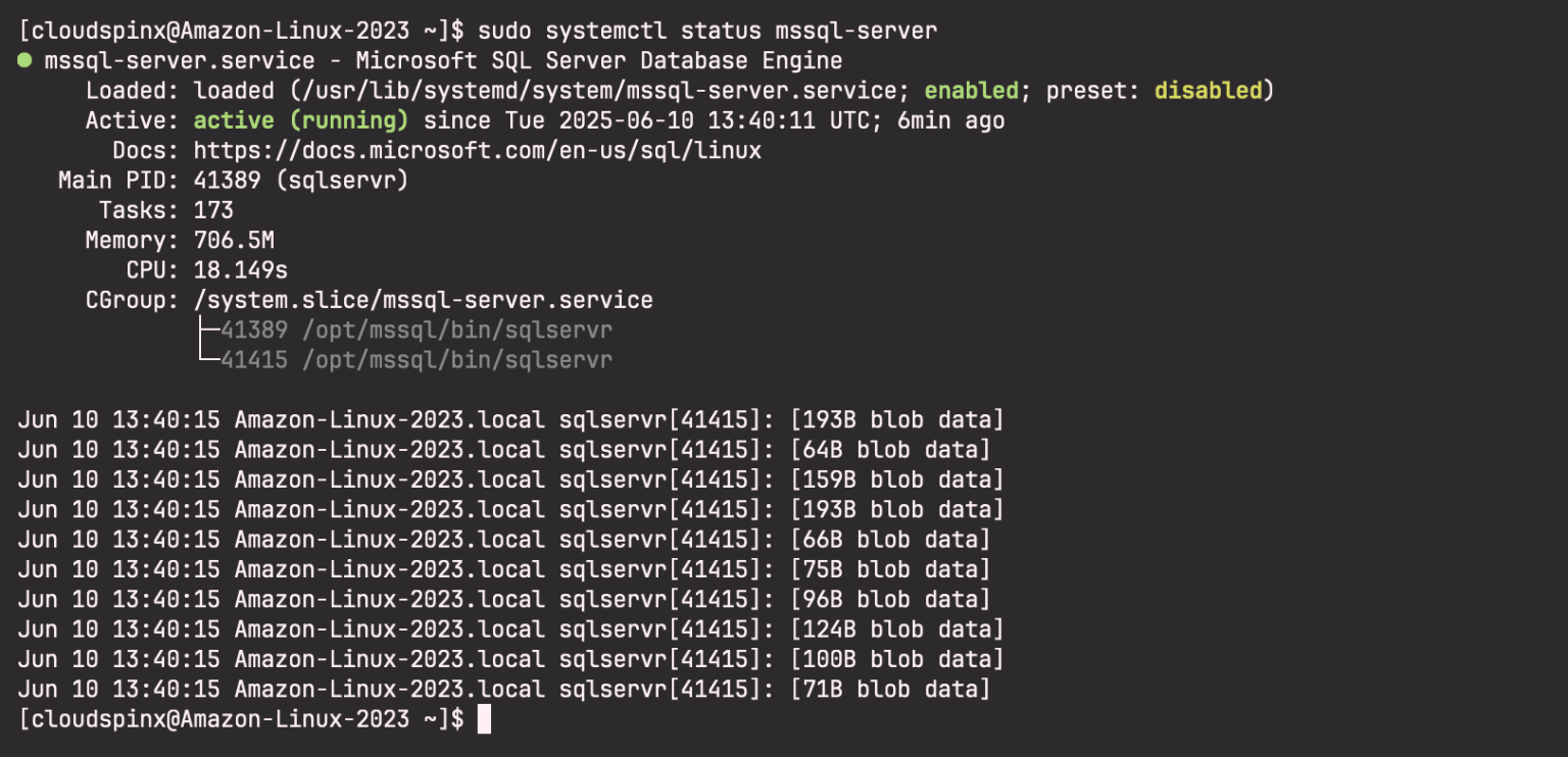 Install Microsoft SQL Server 2022 on Amazon Linux 2023 - CloudSpinx