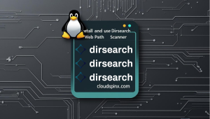 Install and Use Dirsearch Web Path Scanner in Linux - CloudSpinx