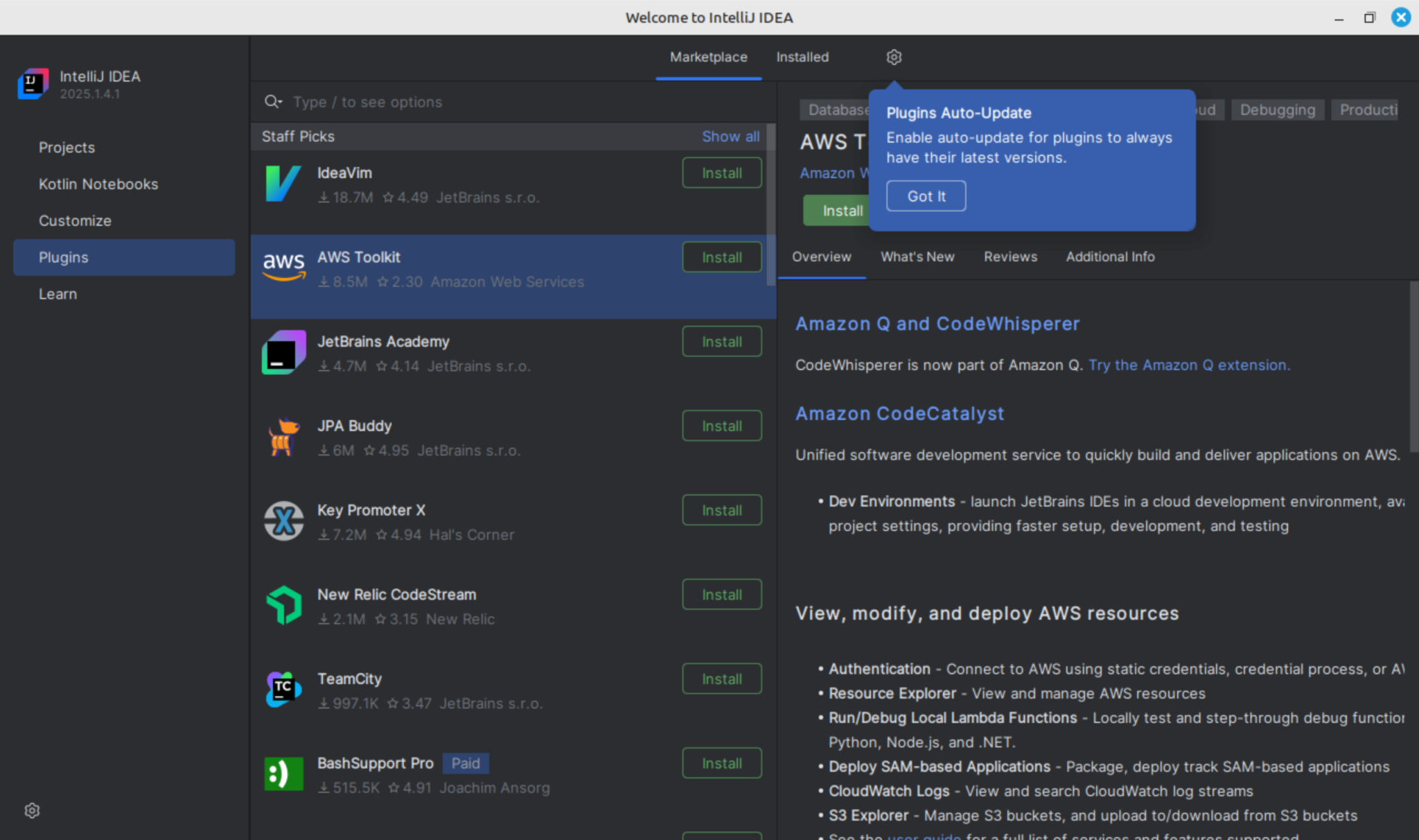 How To Install IntelliJ IDEA on Linux Mint 22 - CloudSpinx