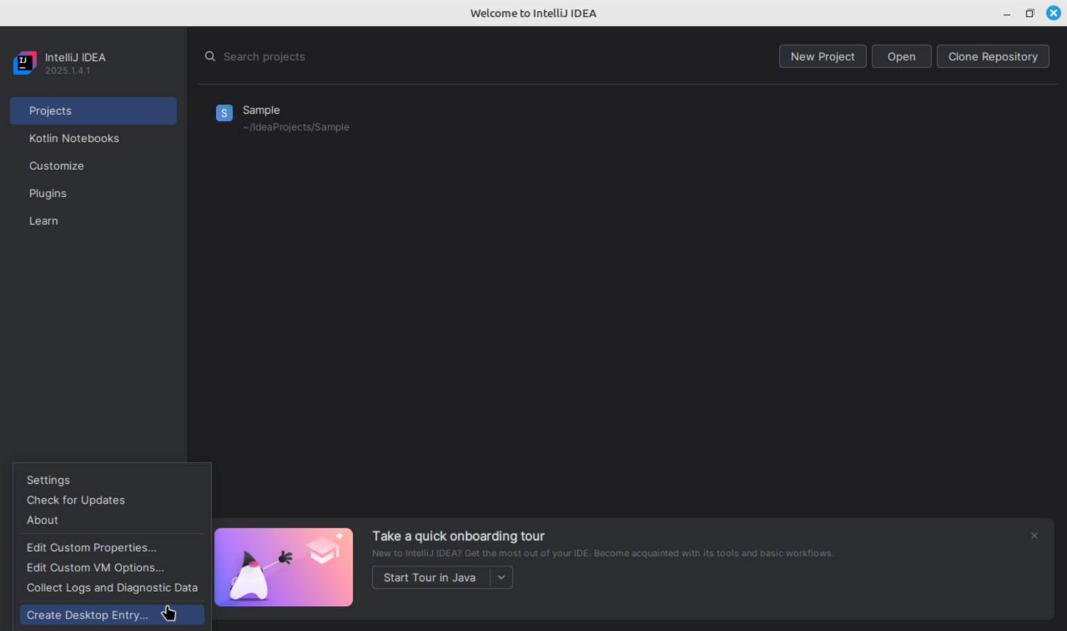 How To Install IntelliJ IDEA on Linux Mint 22 - CloudSpinx