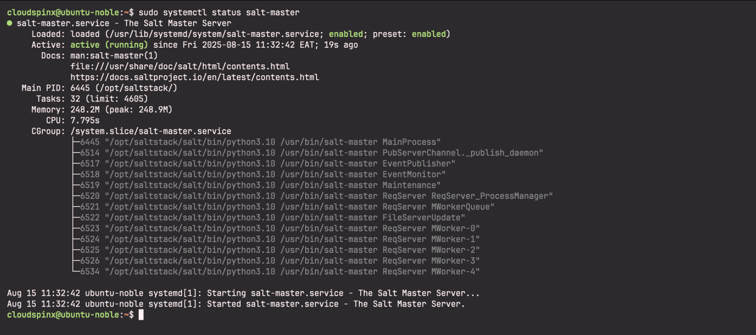 Install Saltstack Master & Minion on Ubuntu 24.04 - CloudSpinx