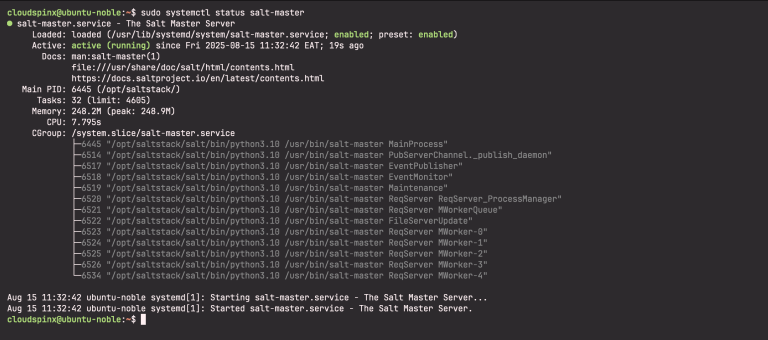 Install Saltstack Master & Minion on Ubuntu 24.04 - CloudSpinx