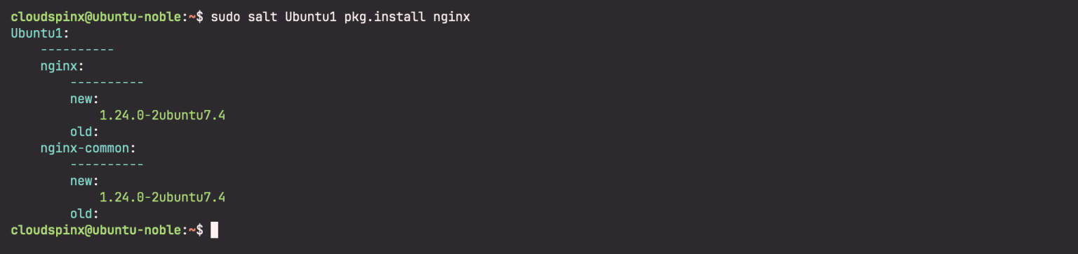 Install Saltstack Master & Minion on Ubuntu 24.04 - CloudSpinx