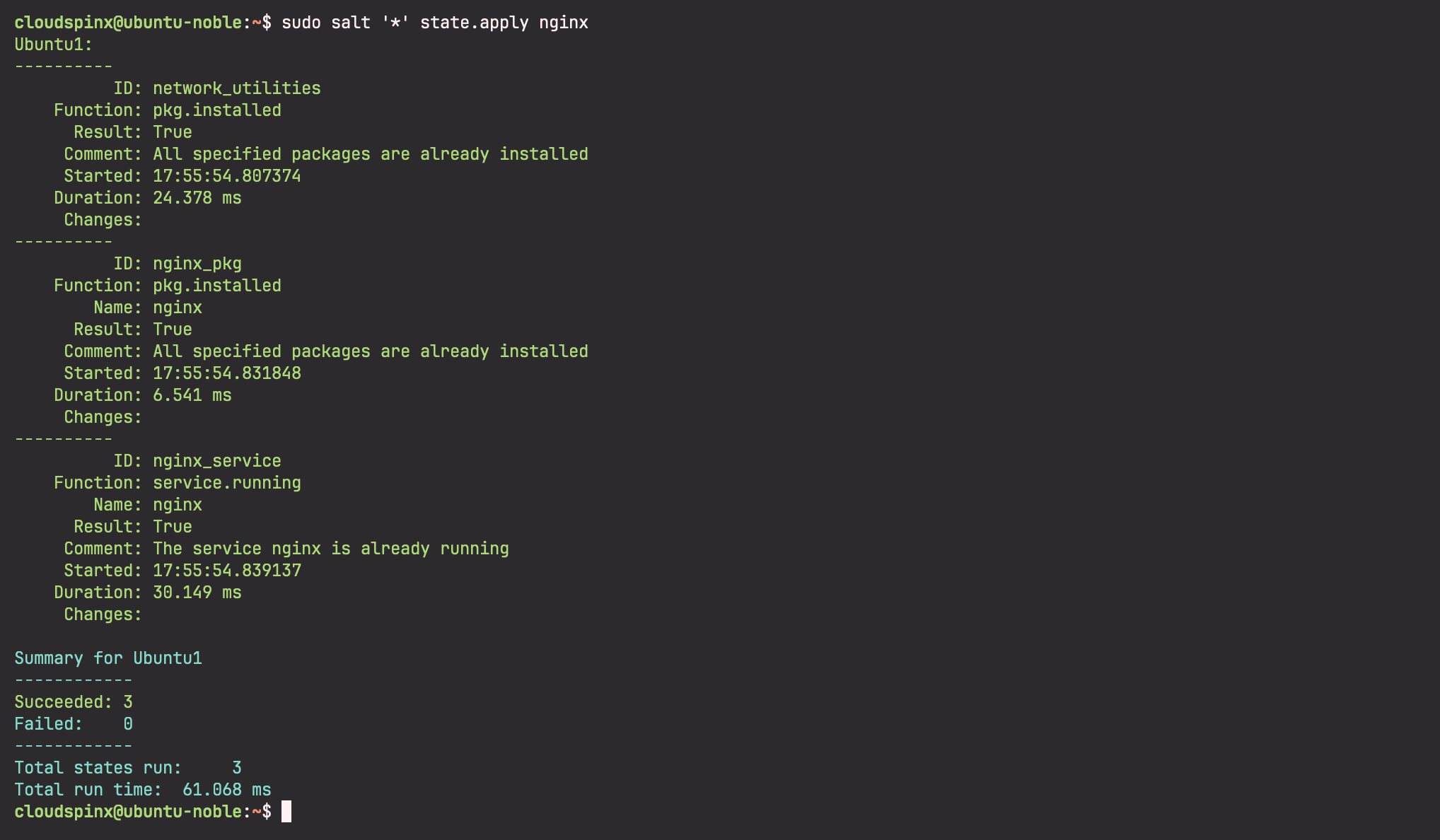 Install Saltstack Master & Minion on Ubuntu 24.04 - CloudSpinx