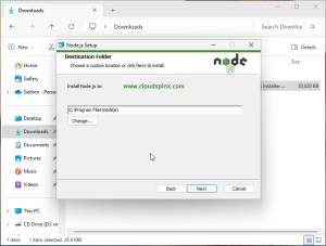 Install and Use Node.js on Windows 11 / Windows 10 - CloudSpinx