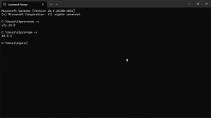 Install and Use Node.js on Windows 11 / Windows 10 - CloudSpinx