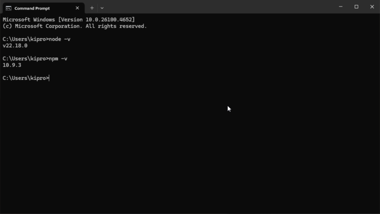Install and Use Node.js on Windows 11 / Windows 10 - CloudSpinx