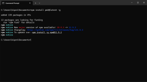 Install and Use Node.js on Windows 11 / Windows 10 - CloudSpinx