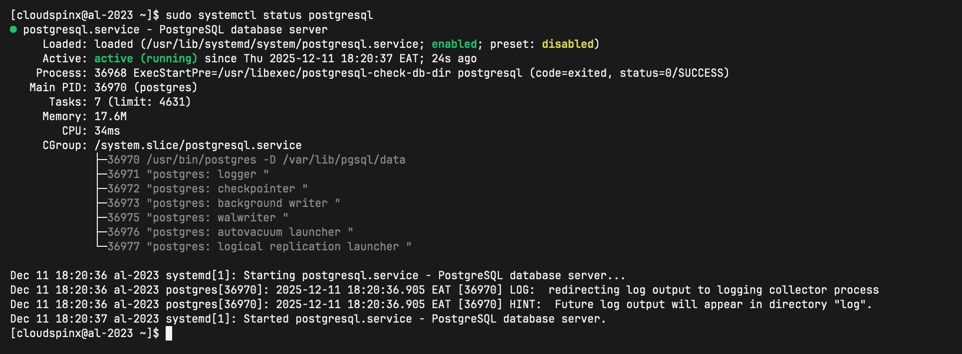 How To Install PostgreSQL 17 on Amazon Linux 2023 - CloudSpinx