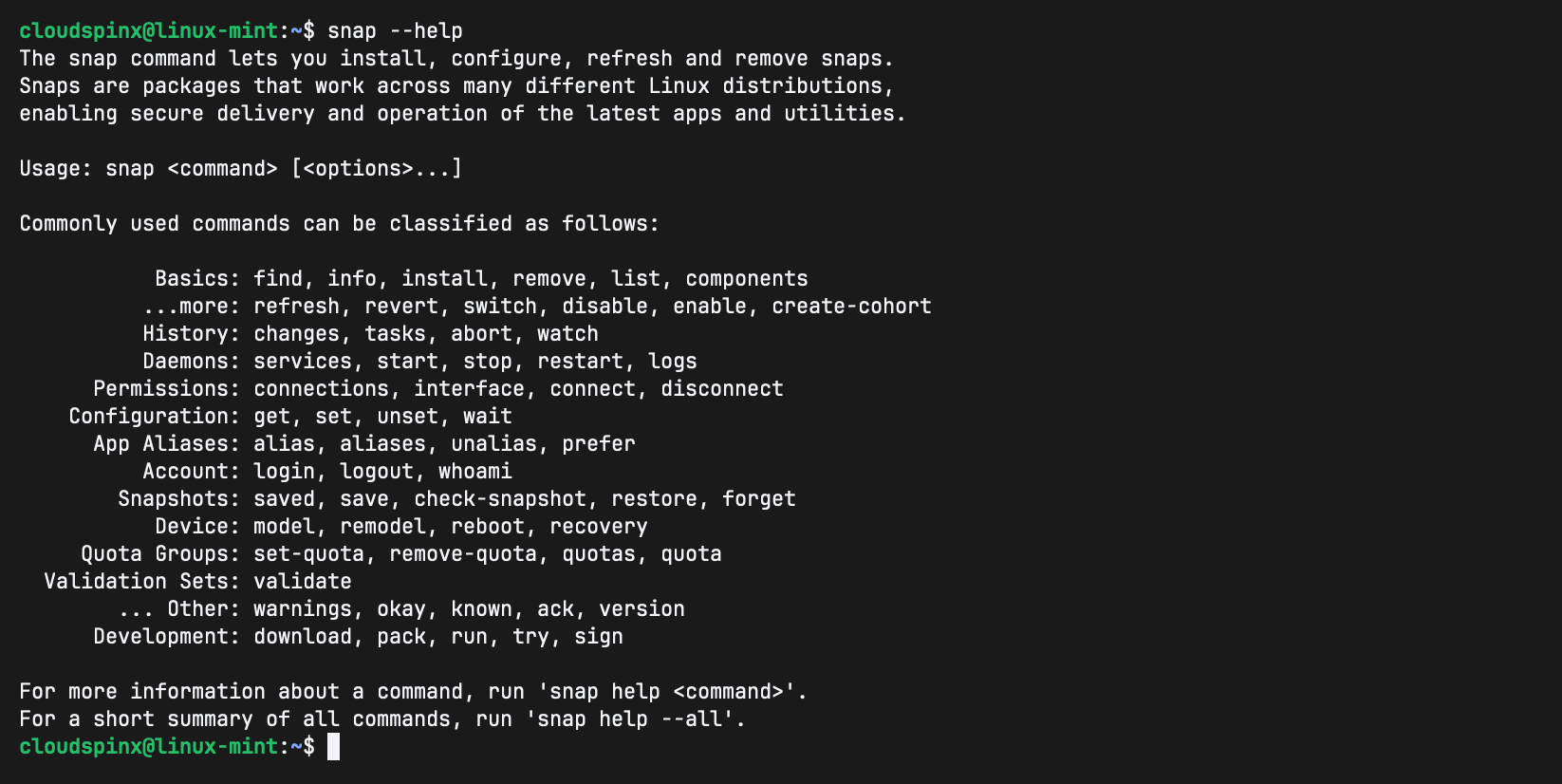 How To Install and Use Snap in Linux Mint 22 - CloudSpinx