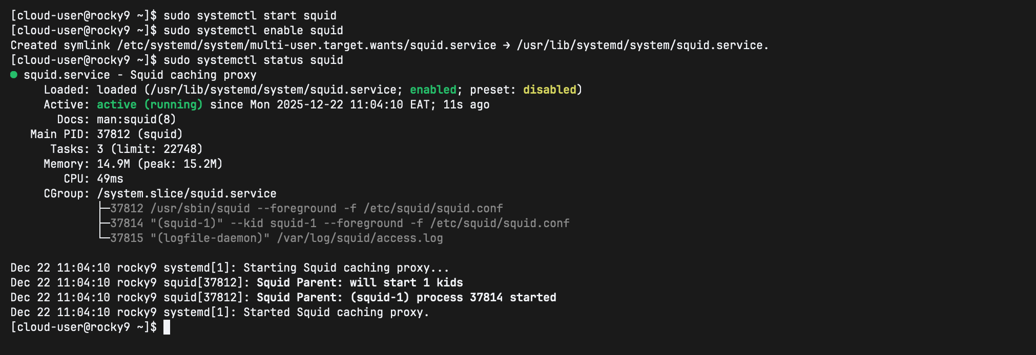Install and Configure Squid Proxy Server on Rocky Linux 9 - CloudSpinx